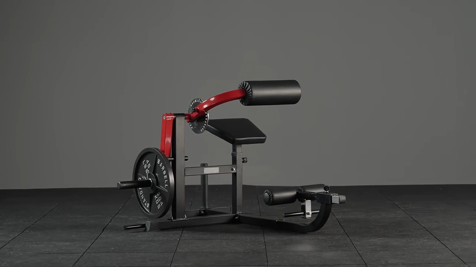 Ergonomic Ab Curl Back Extension Machine Plate Loaded 450Lb Cap Abs | eBay