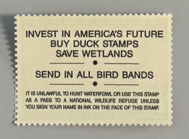 1996 Federal Duck Stamp - Appreciation Souvenir Card w/Stamp - Artist ...