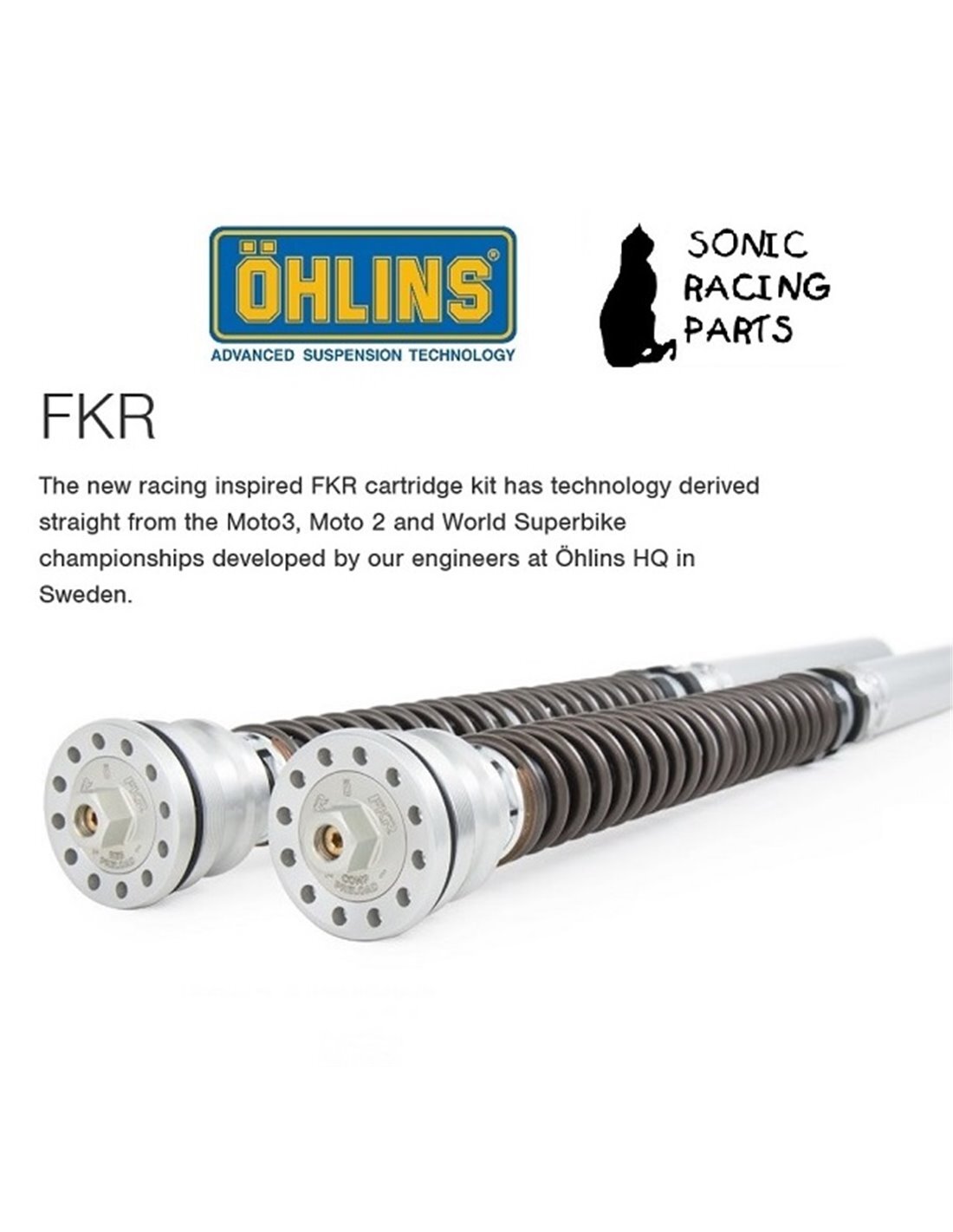 FKR 105 CARTUCCIA OHLINS TTX 25 KAWASAKI ZX-10R NINJA 2016 2022 | eBay