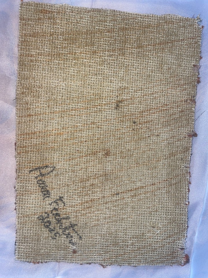 Actual Sample of Showbiz Pizza Place Carpet * Autographed by Aaron ...