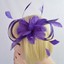 Spring Race Carnival Melbourne Cup Feather Fascinator Headband Clip ...