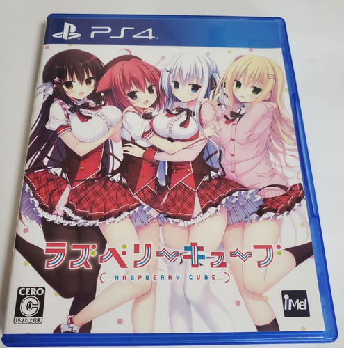 Raspberry Cube PS4 Sony PlayStation 4 iMel Video Game with Case Japan ...