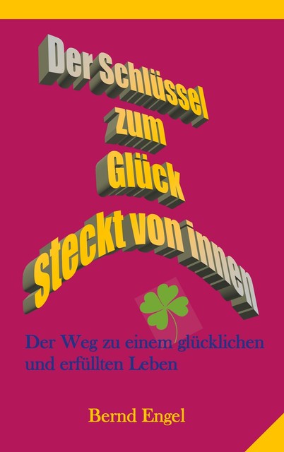 Schlussel Steckt Von Innen Kosten