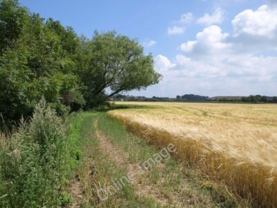 Photo 6x4 Exe Valley Way Berrysbridge The Way, following Nether Exe ...