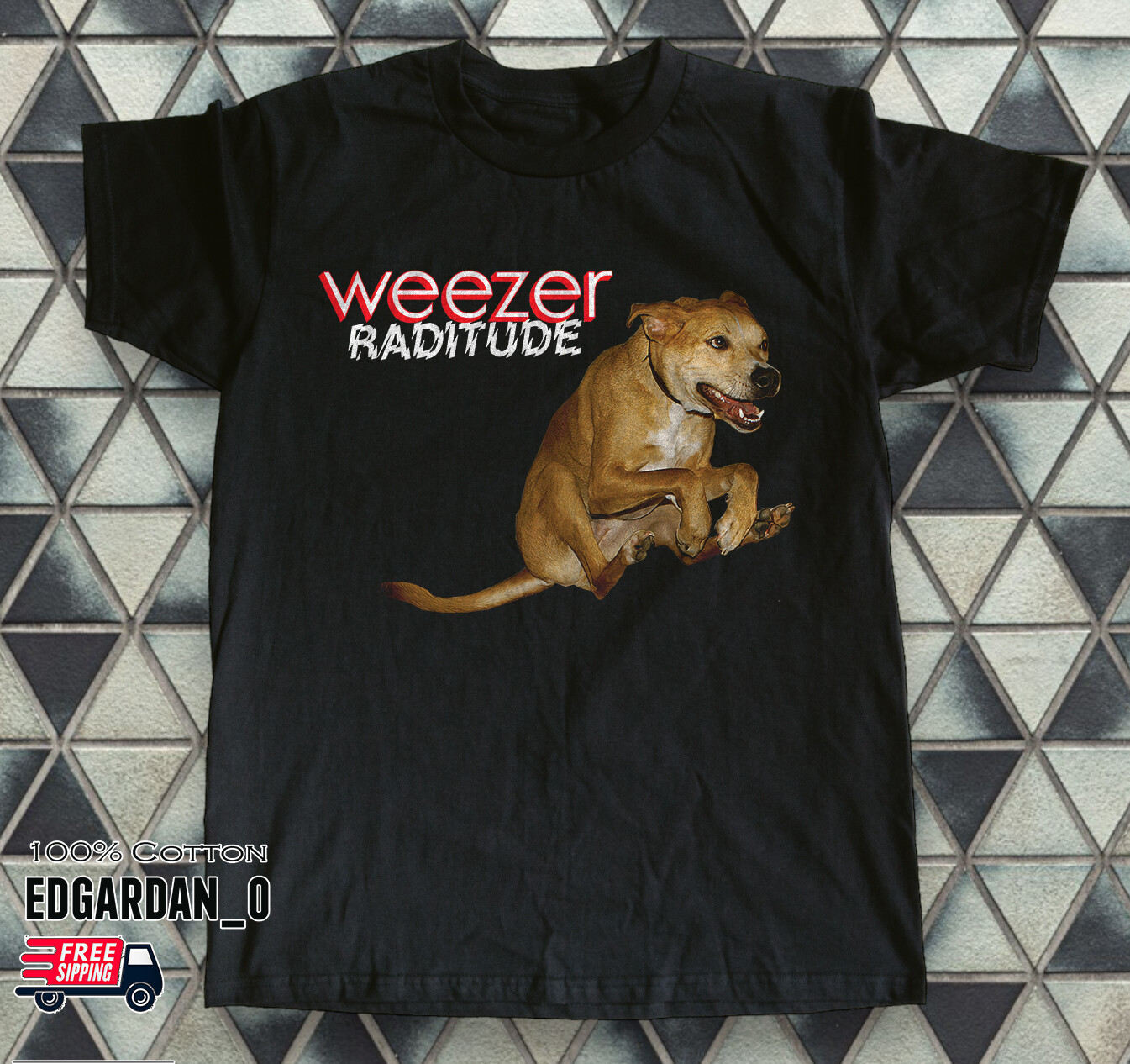 Weezer Raditude