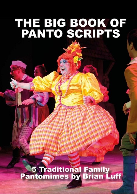 The Big Book of Panto Scripts von Brian Luff (2018, Taschenbuch) online ...