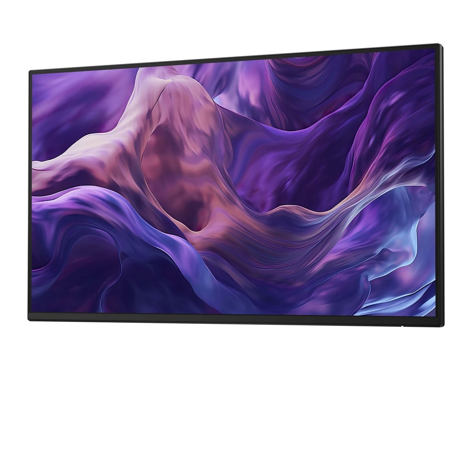 Dell Pro 24 Plus Monitor - P2425H | eBay