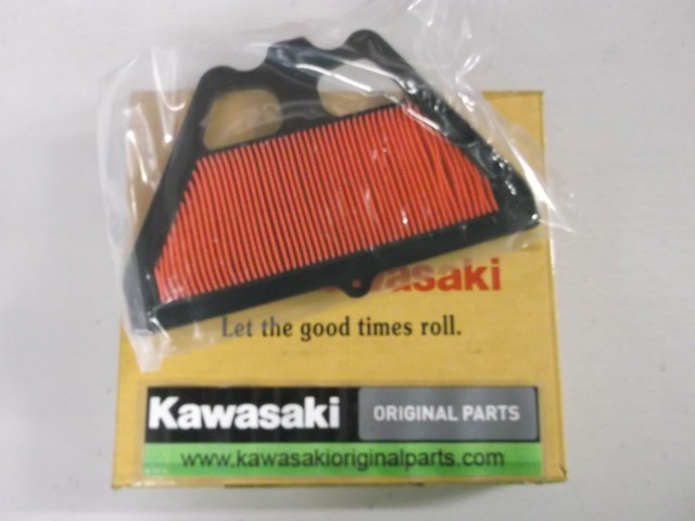 Kawasaki Z900 2017-2020 Models Genuine Air Filter 11013 0760 for sale ...