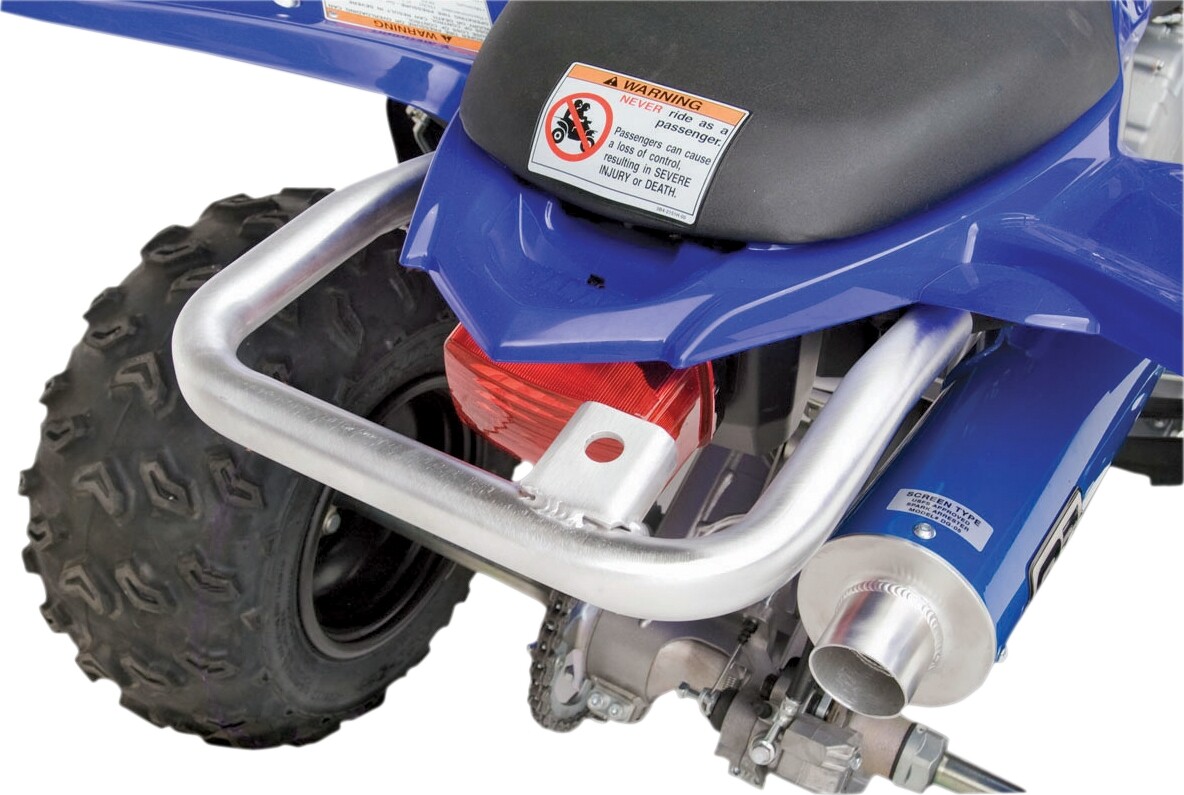 DG Performance Natural Finish Fat Series Aluminum ATV/UTV Grab Rail Bar ...