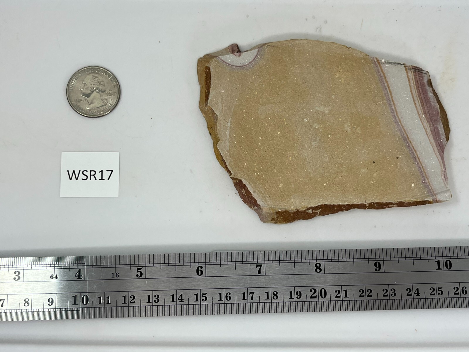 Wonderstone Rhyolite Slab for cabbing carving Chakra Reiki from Utah | eBay