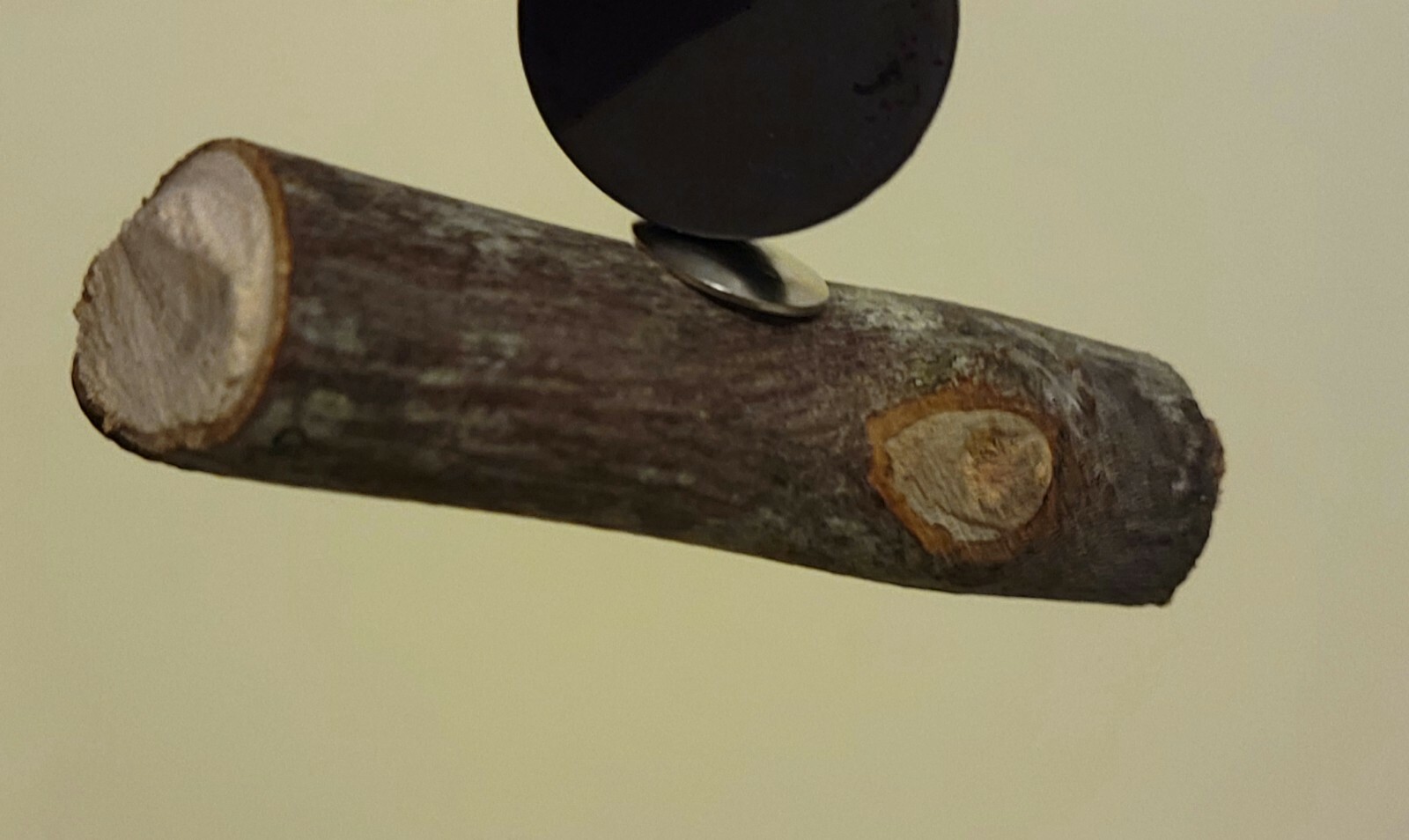 12 wood logs Thomas Train lumber cargo load Brio Jobi Orbrium Bob ...