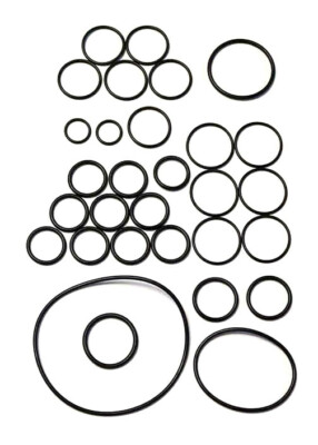 Hypro 9910-KIT2389 O-Ring Repair Kit for Hypro D403 Pumps | eBay