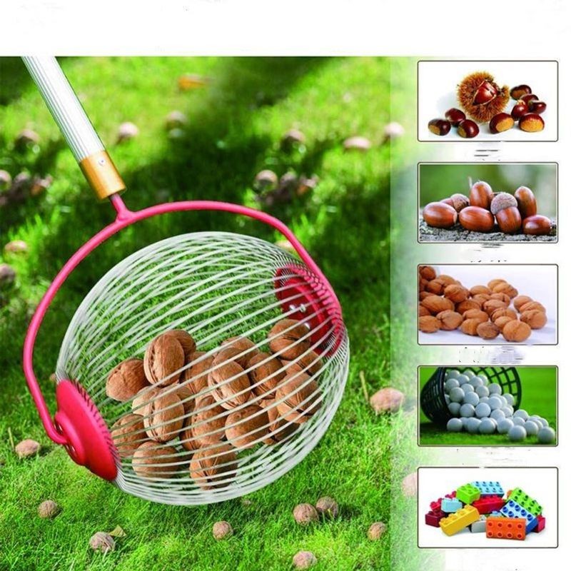 Garden Weasel Nut Gatherer Small - Big Cage Quick Pick Up Acorns ...
