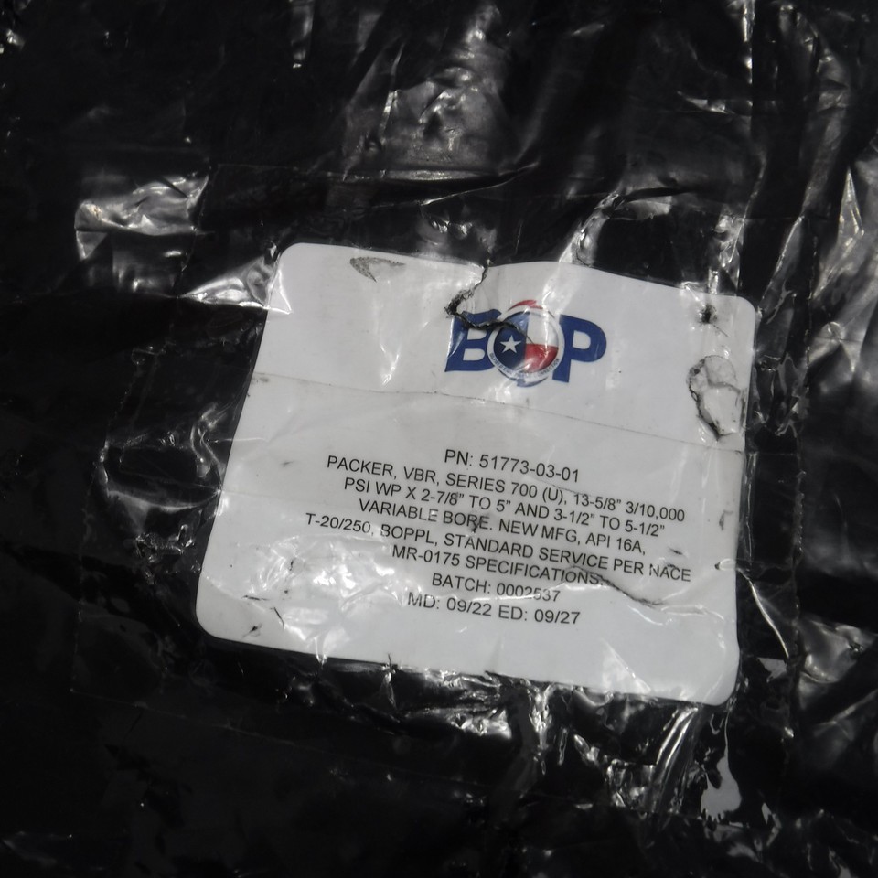2 Pack BOP 13-5/8" Packer VBR Series 700 Fixed Bore Top Seals 3/10000psi WP | eBay