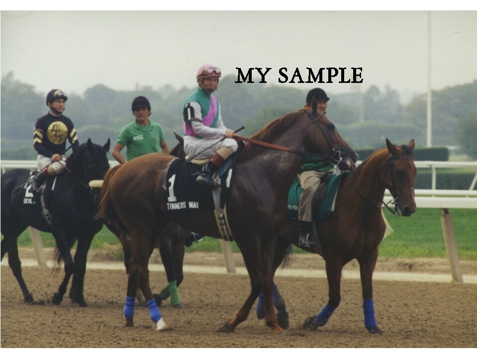 VINTAGE TINNERS WAY 1994 WOODWARD STAKES BELMONT 8 X 10 PHOTO SON OF ...