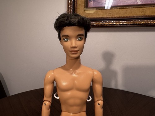 Barbie My Scene Ellis Boy Doll Brown Hair Green Eyes | eBay