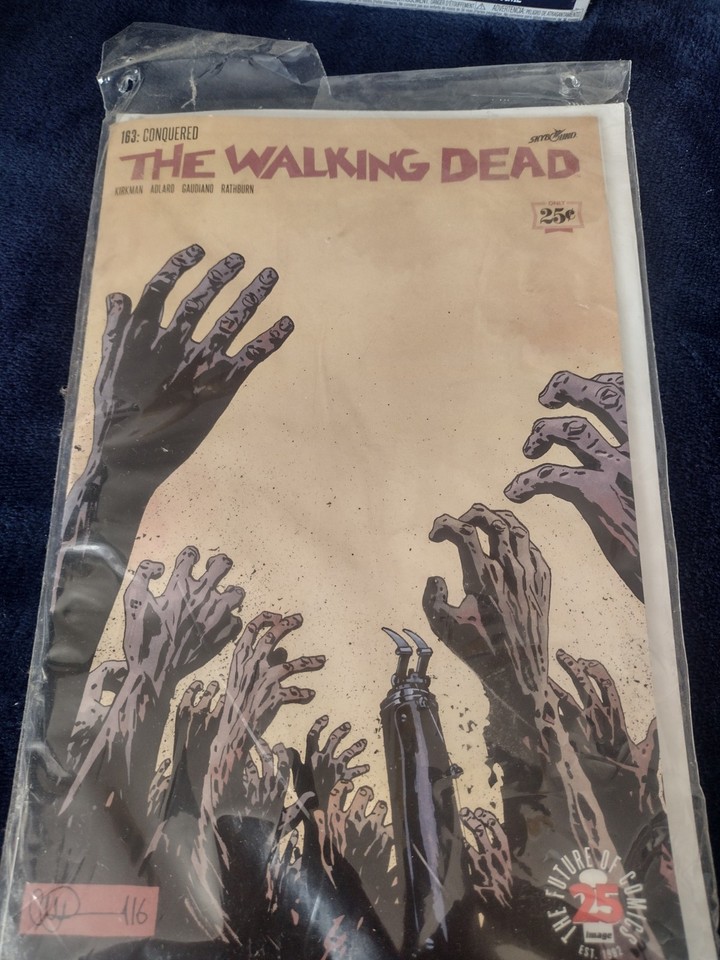 Walking Dead Comic 163 | eBay
