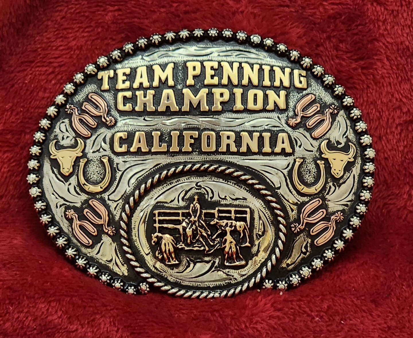 RODEO CHAMPION TROPHY BUCKLE TEAM PENNING PROFESSIONAL☆CALIFORNIA☆RARE ...