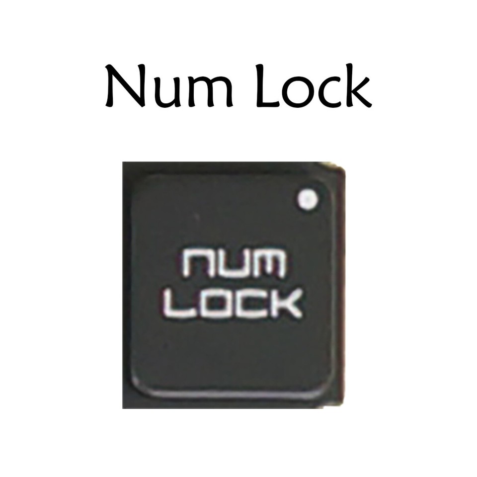 Keyboard Key Keycap Clips Hinges For MSI Vector 16 HX A13V A14V, 17 HX ...