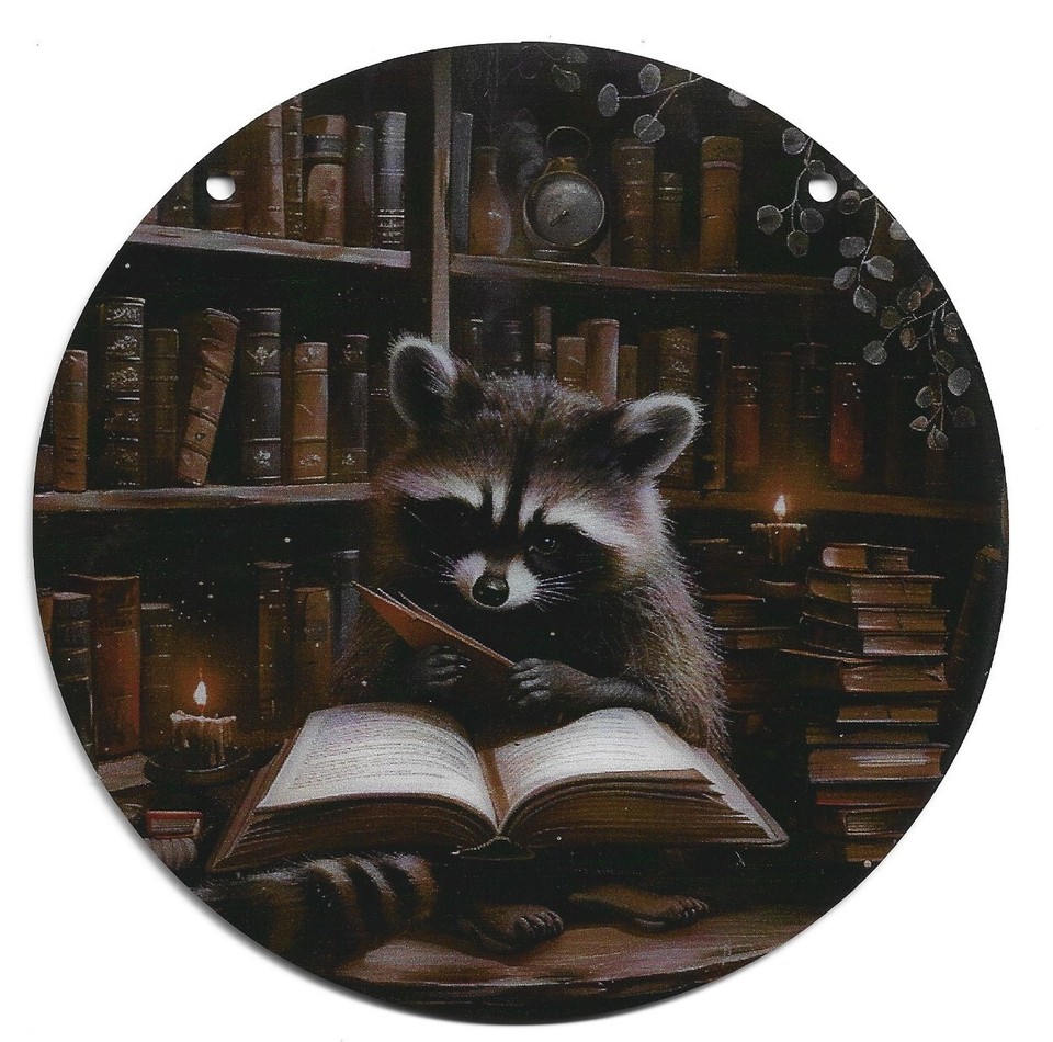 Racoon Reading Book Suncatcher - Stained Acrylic & Window Hanging Kit ...