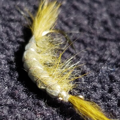 FLY FISHING FLIES SCUD NYMPH OLIVE SIZE 12 PATTERN | eBay