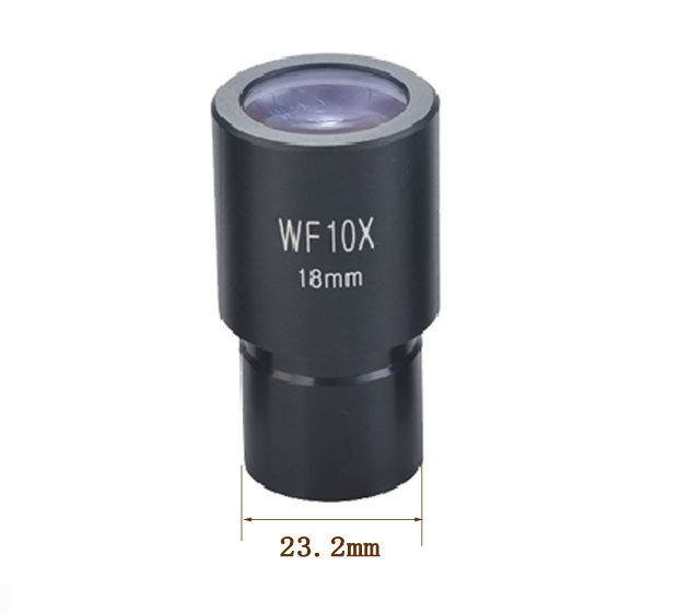 10X Biological Microscope Eyepiece 23.2mm Caliber Wide Field Ocular ...