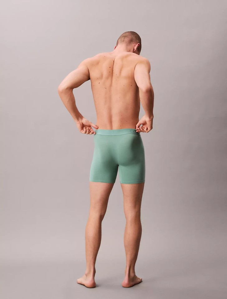Calvin Klein Mens Ultra Soft Modal Boxer Brief in Charming Green Medium ...