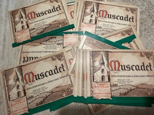 LOT 100 ETIQUETTES /MUSCADET/VIN BLANC /BAHUAUD /LABELS BOISSON ALCOOL ...