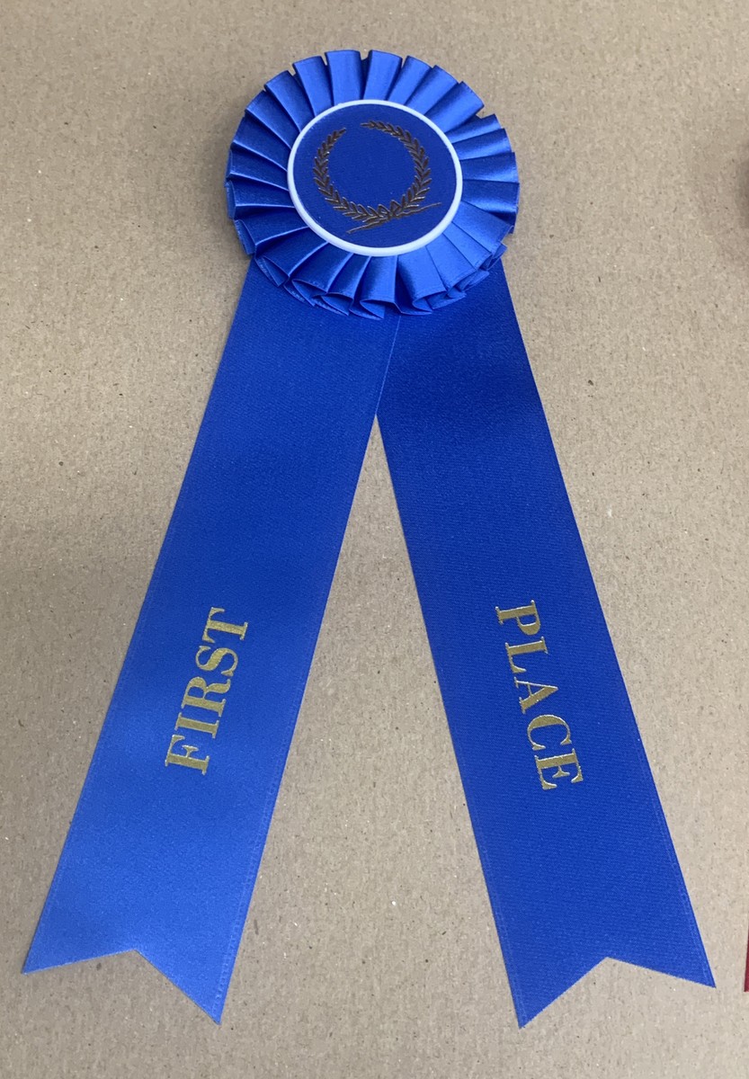 3rd Place Ribbon Blue