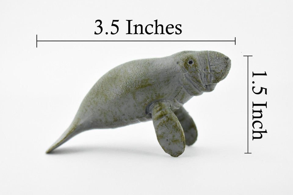 Manatee, Sea Cow, Dugongs, Hand Painted, Realistic Model, 3.5" CH295 ...