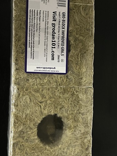 Grodan Delta Gro Rockwool Wrapped GRO-Blocks 4" Cube Pack of 6 | eBay