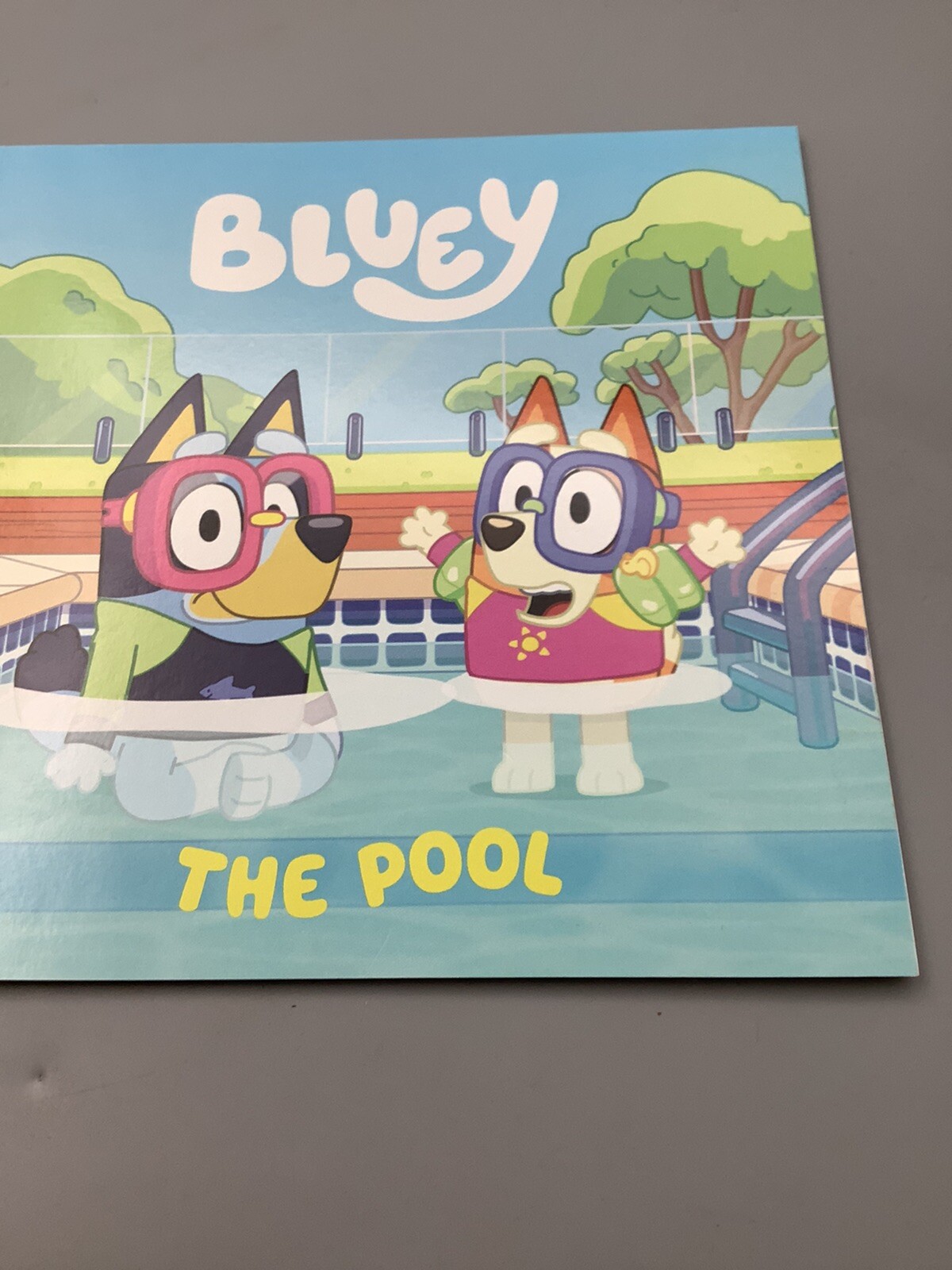 Bluey: The Pool (Paperback) Bluey Book - NEW | eBay