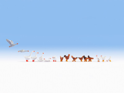 Noch 15772 Ho Scale Roosters, Hens and Geese Pcs. 17 | eBay