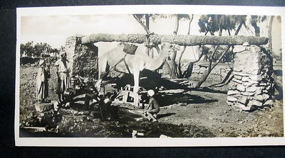 EGYPT SAKIEH REAL PHOTO BY ZOGOLOPOULO FRERES No 19 | eBay UK