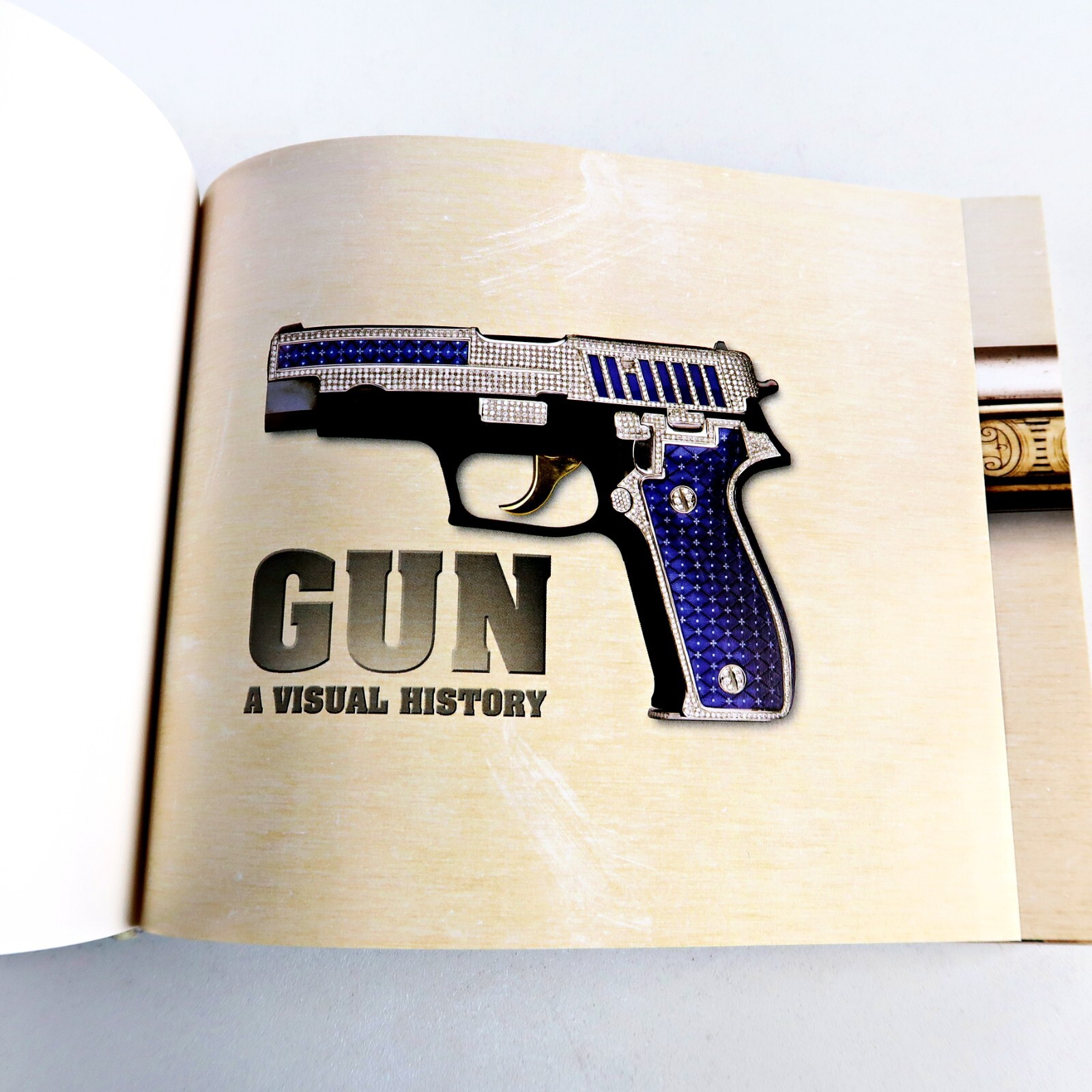 Gun: A Visual History, The | eBay