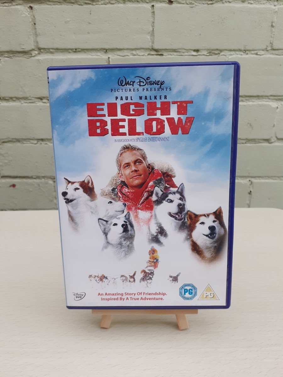 Eight Below Dewey And Truman