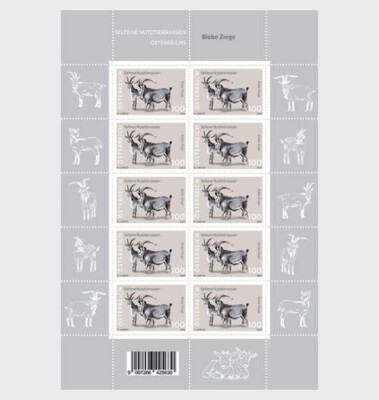 austria 2025 autriche Animal Fauna Mammal BLOBE GOAT mountain goat ...