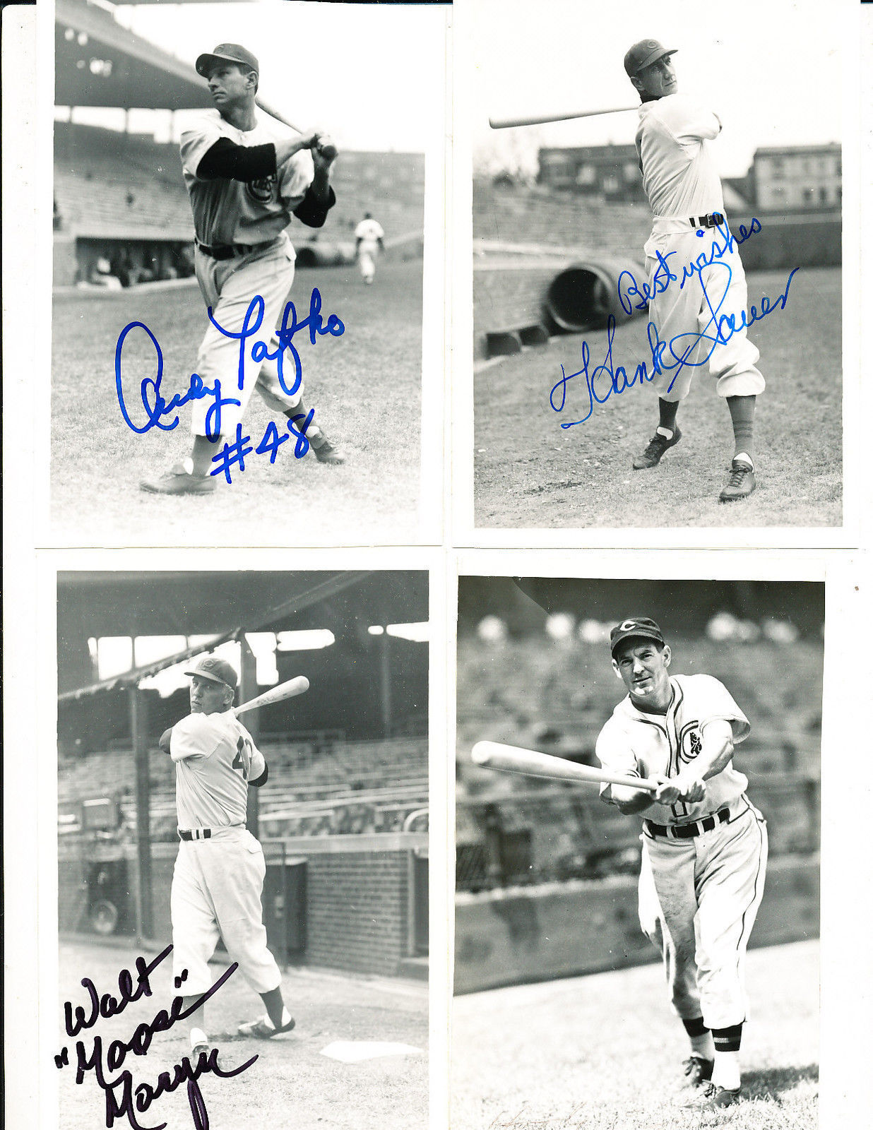 Walt Moose moryn chicago cubs signed 4 x 6 signed photo bn1 | eBay