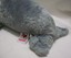 Ganz Webkinz 9" Gray Walrus Stuffed Animal Plush Toy No Code | eBay