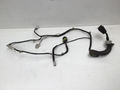 VY VZ Commodore SS Spac Berlina front door loom LH left passenger ...