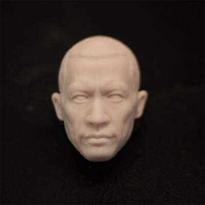 Blank 1/10 Scale Unbeatable Nick Cheung Head Sculpt Unpainted Fit 7 ...