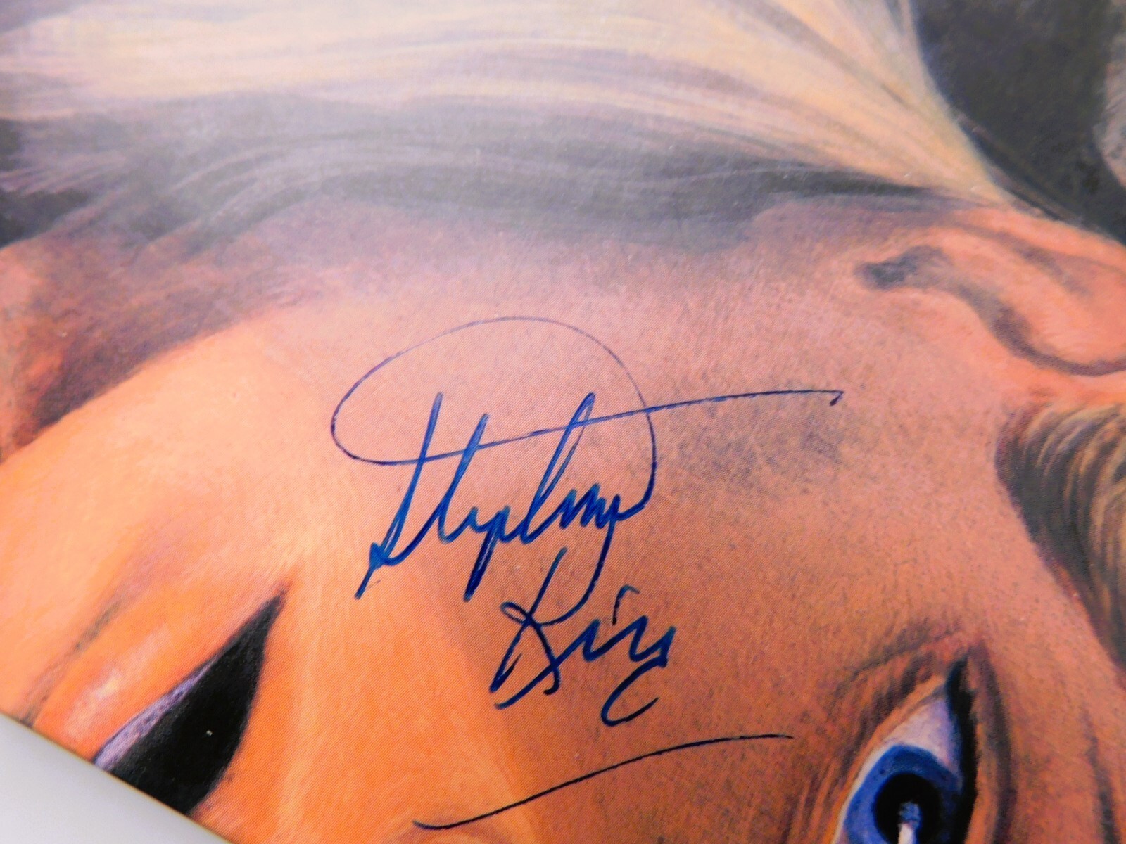 SIGNED Stephen King ~ The Girl Who Loved Tom Gordon ~ 2004 Pop-Up Book ...