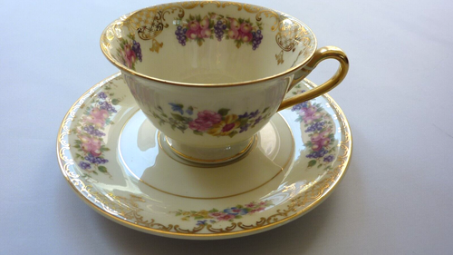 Vintage Rosenthal Tea Cup Saucer Set Bavaria Floranada | eBay