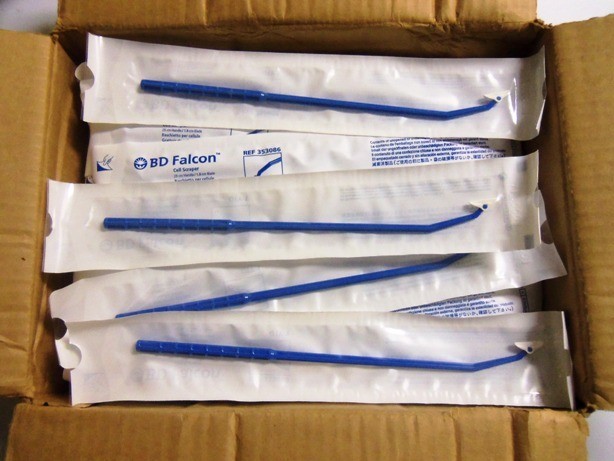 BD Falcon 353086 Cell Scraper 25cm Handle 1.8cm Blade for sale online ...