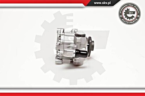 Steering System Hydraulic Pump Fits MERCEDES W163 SUV 0034666401 | eBay