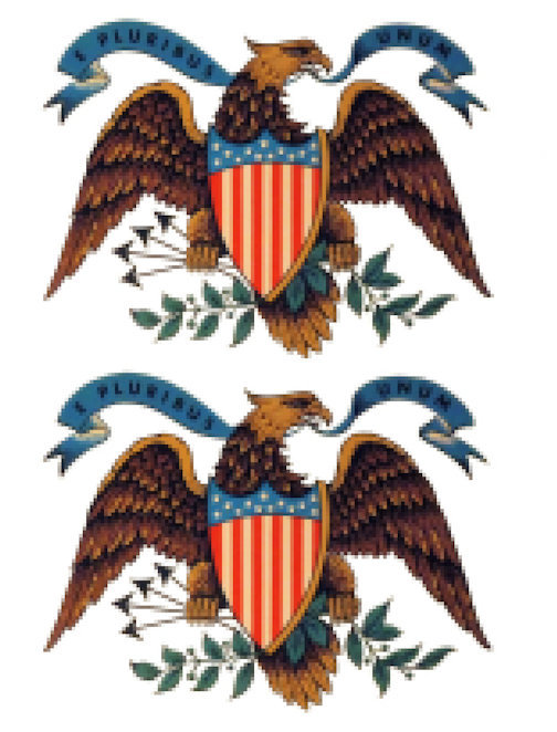 Vintage American Eagle Illustration
