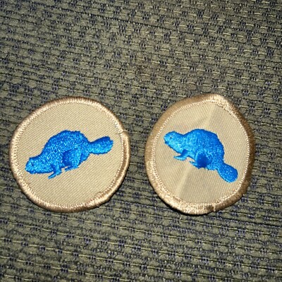 Current Boy Scout Beaver Patrol Patch Scouts BSA | eBay