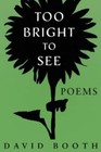 Too Bright to See - Paperback By Booth, David - GOOD 9781734114263| eBay