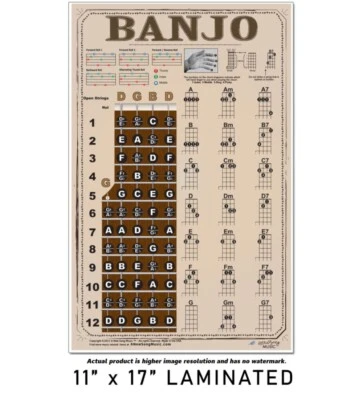 LAMINATED Banjo Chord Chart Poster Fretboard | Grelly USA