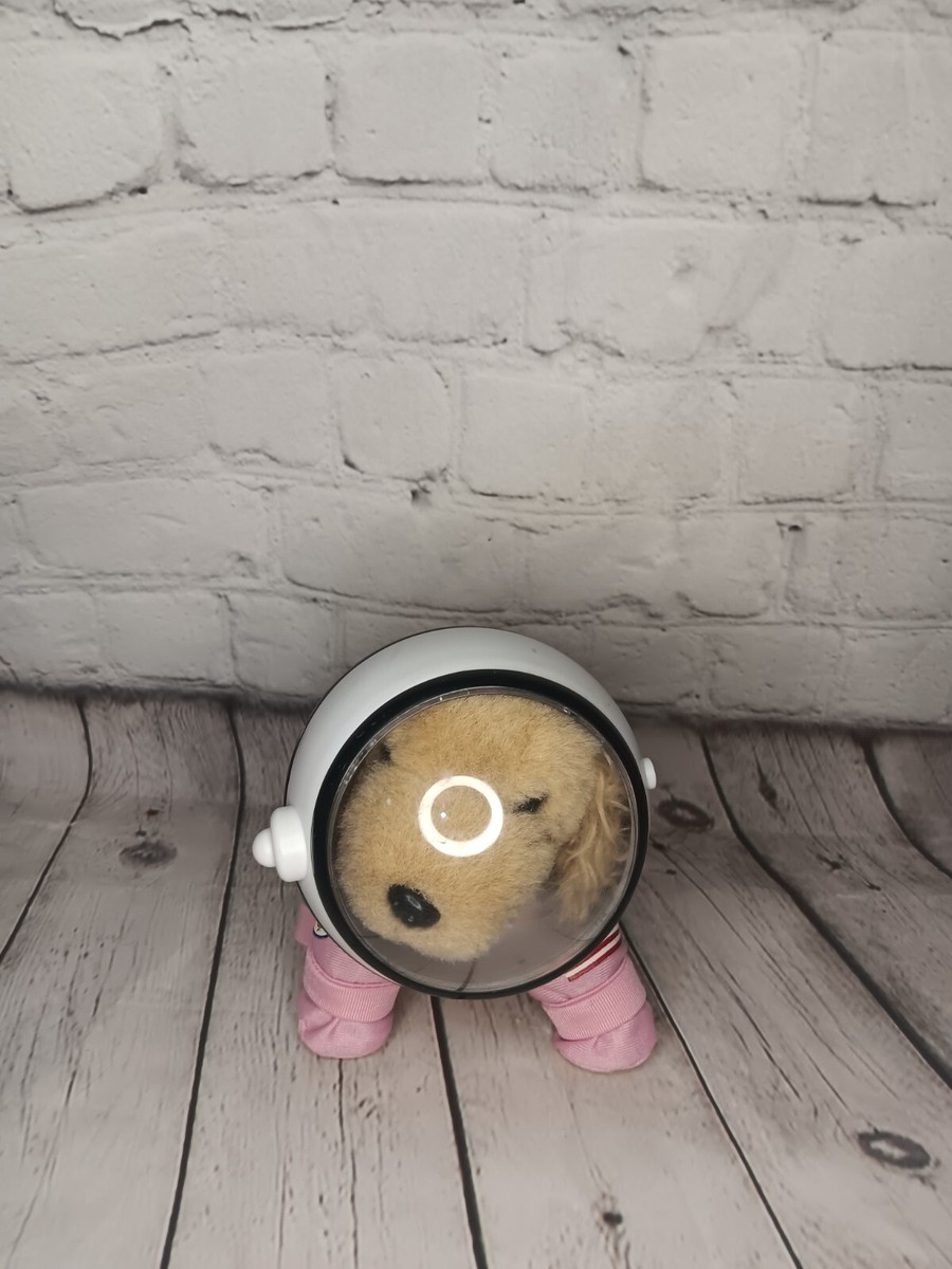 Buddies Rosebud Wallpaper